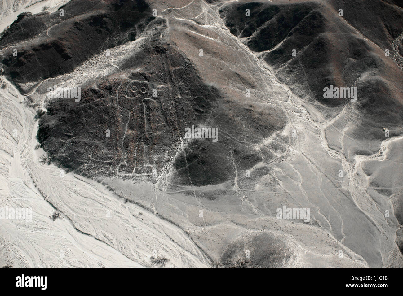 Nazca form -Fotos und -Bildmaterial in hoher Auflösung – Alamy