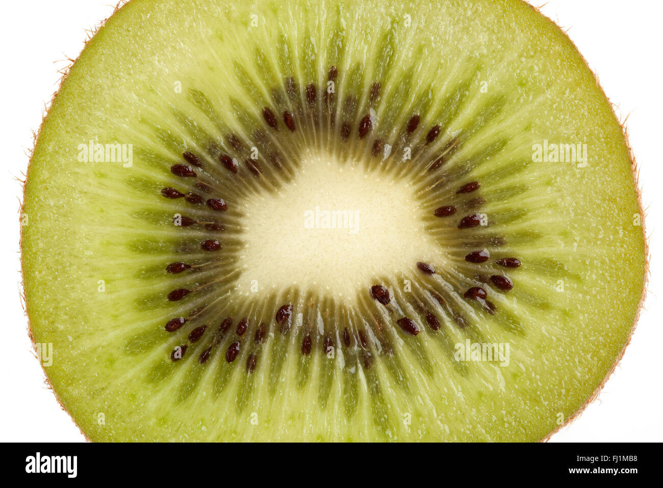 Scheibe kiwi -Fotos und -Bildmaterial in hoher Auflösung – Alamy