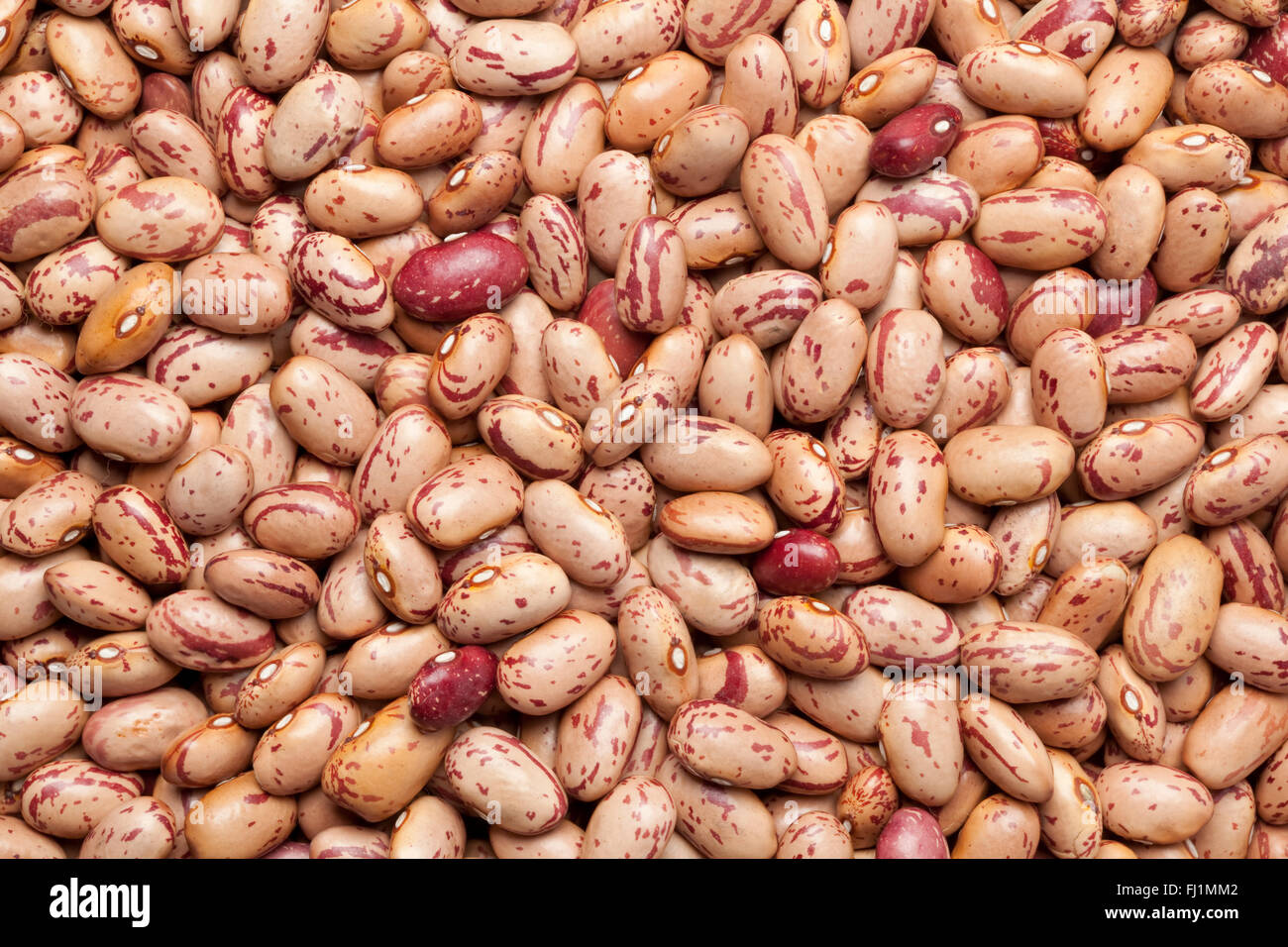 Phaseolus Vulgaris Stockfotos und -bilder Kaufen - Alamy