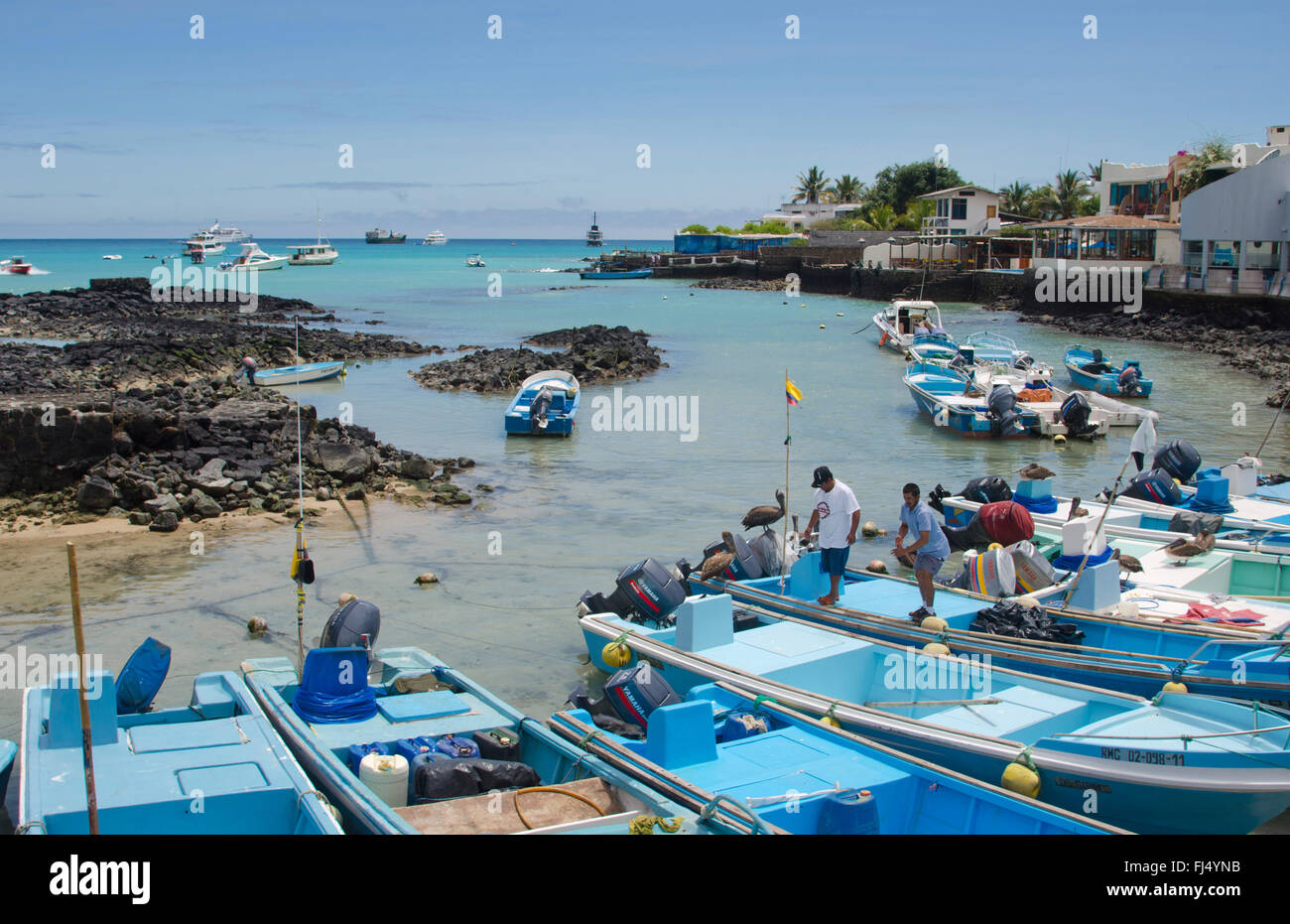 Galapagos inseln santa cruz -Fotos und -Bildmaterial in hoher Auflösung ...