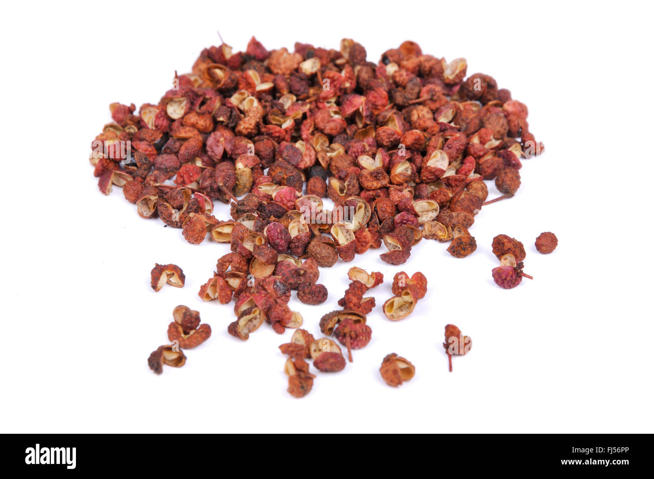 Japanischer pfeffer zanthoxylum piperitum -Fotos und -Bildmaterial in ...