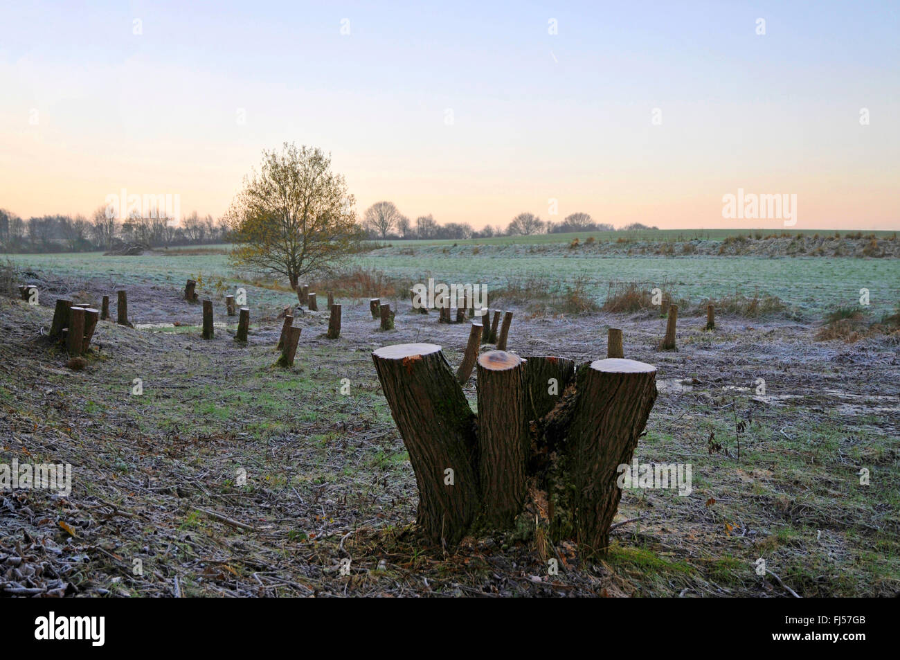 Becken sumpf -Fotos und -Bildmaterial in hoher Auflösung – Alamy