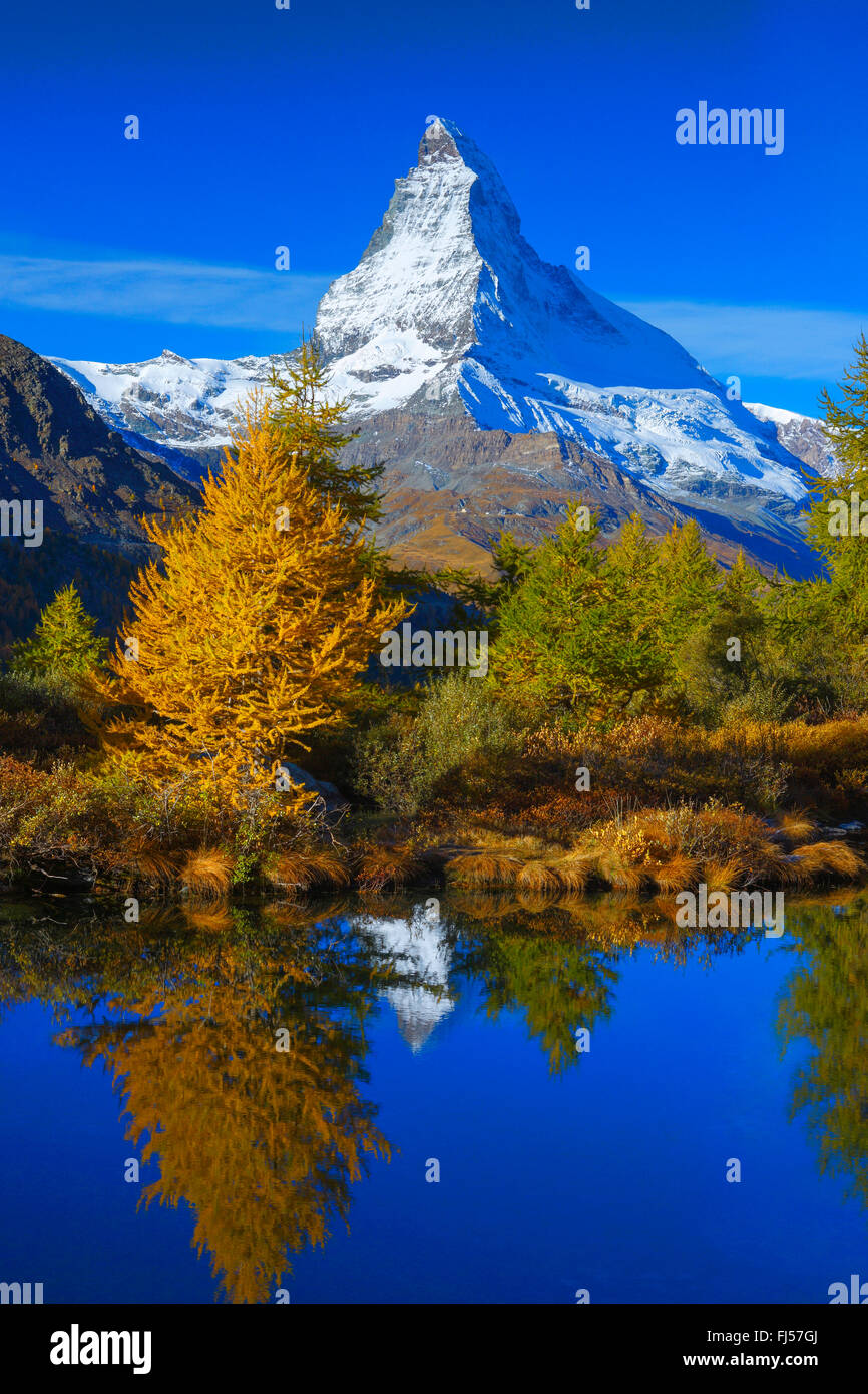 Mit dem matterhorn und dem -Fotos und -Bildmaterial in hoher Auflösung ...