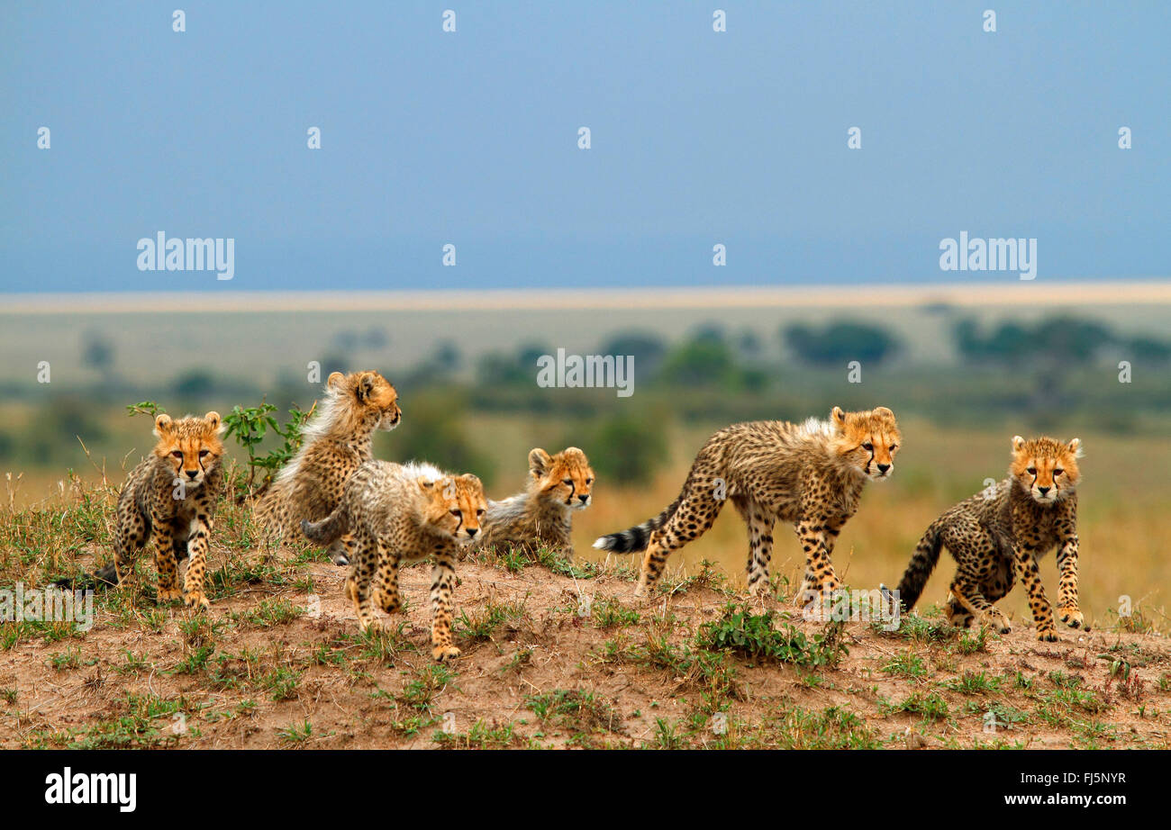 Sechs landschaften -Fotos und -Bildmaterial in hoher Auflösung – Alamy
