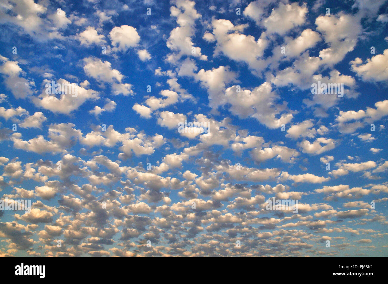 Altocumulus Stratiformis Wolken Stockfotos und -bilder Kaufen - Alamy