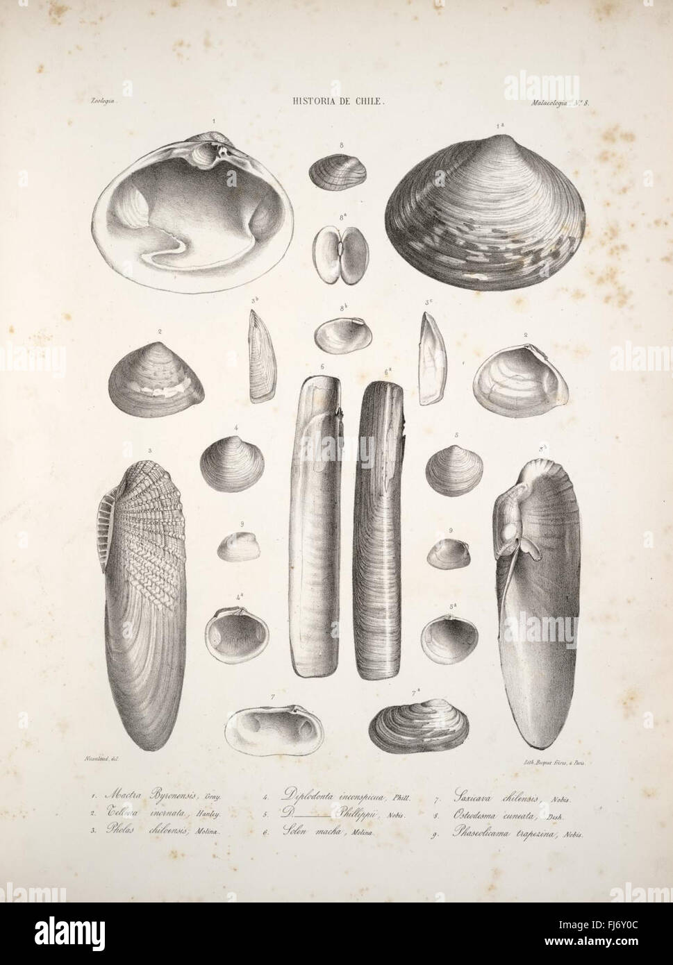 Eine detaillierte historische und politische Darstellung Chiles, basierend auf Dokumenten, die ...
