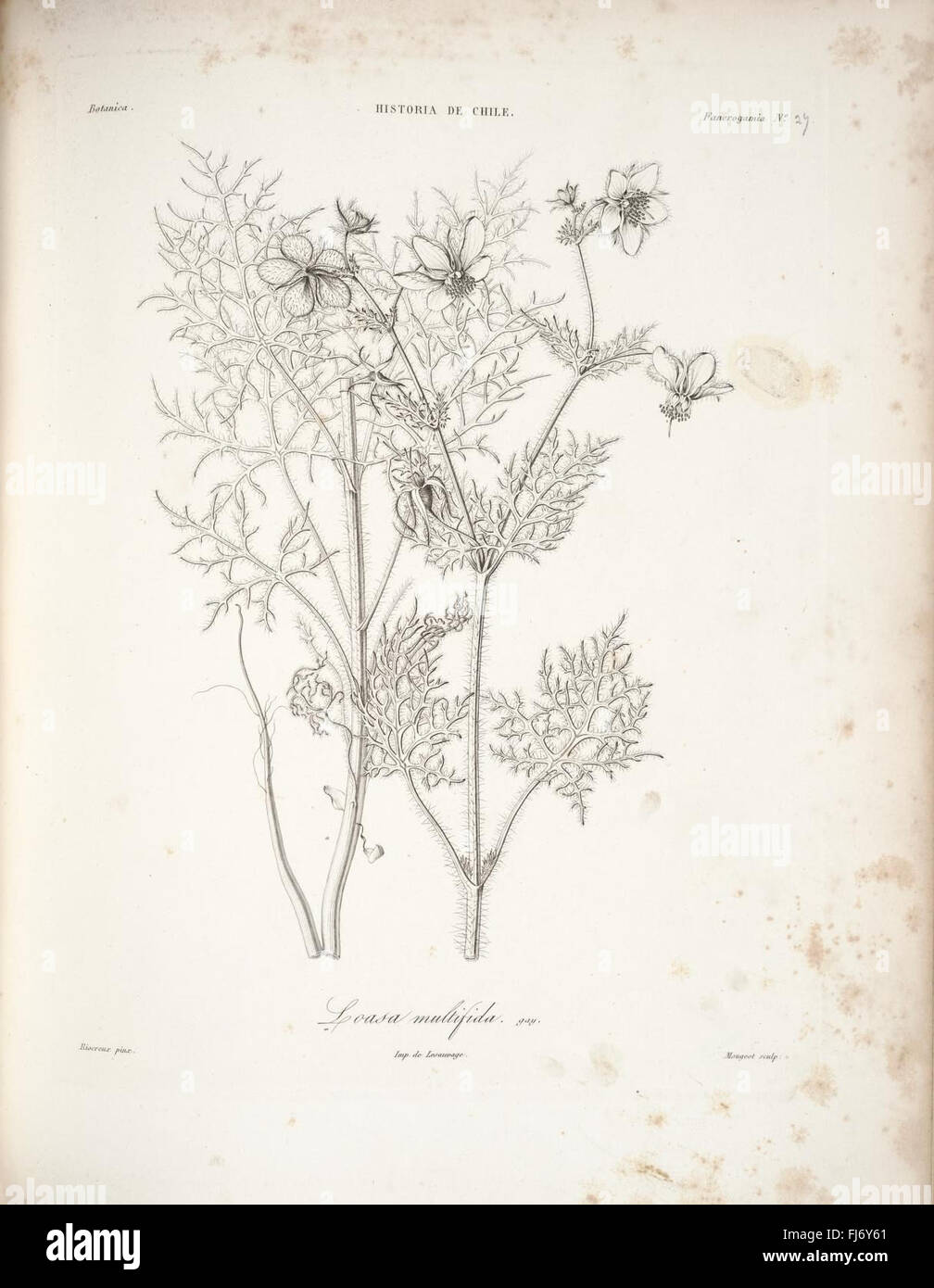 Historia física y política de Chile - Eine physische und politische Geschichte Chiles, die auf ...