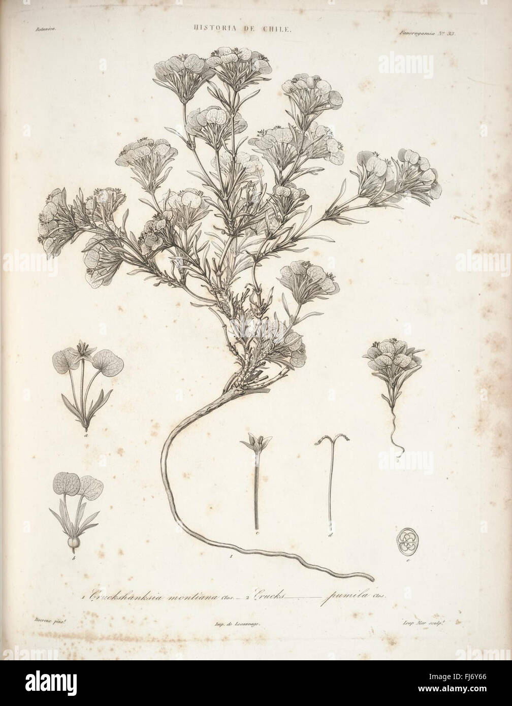 Historia física y política de Chile - Eine umfassende historische und politische Studie Chiles ...