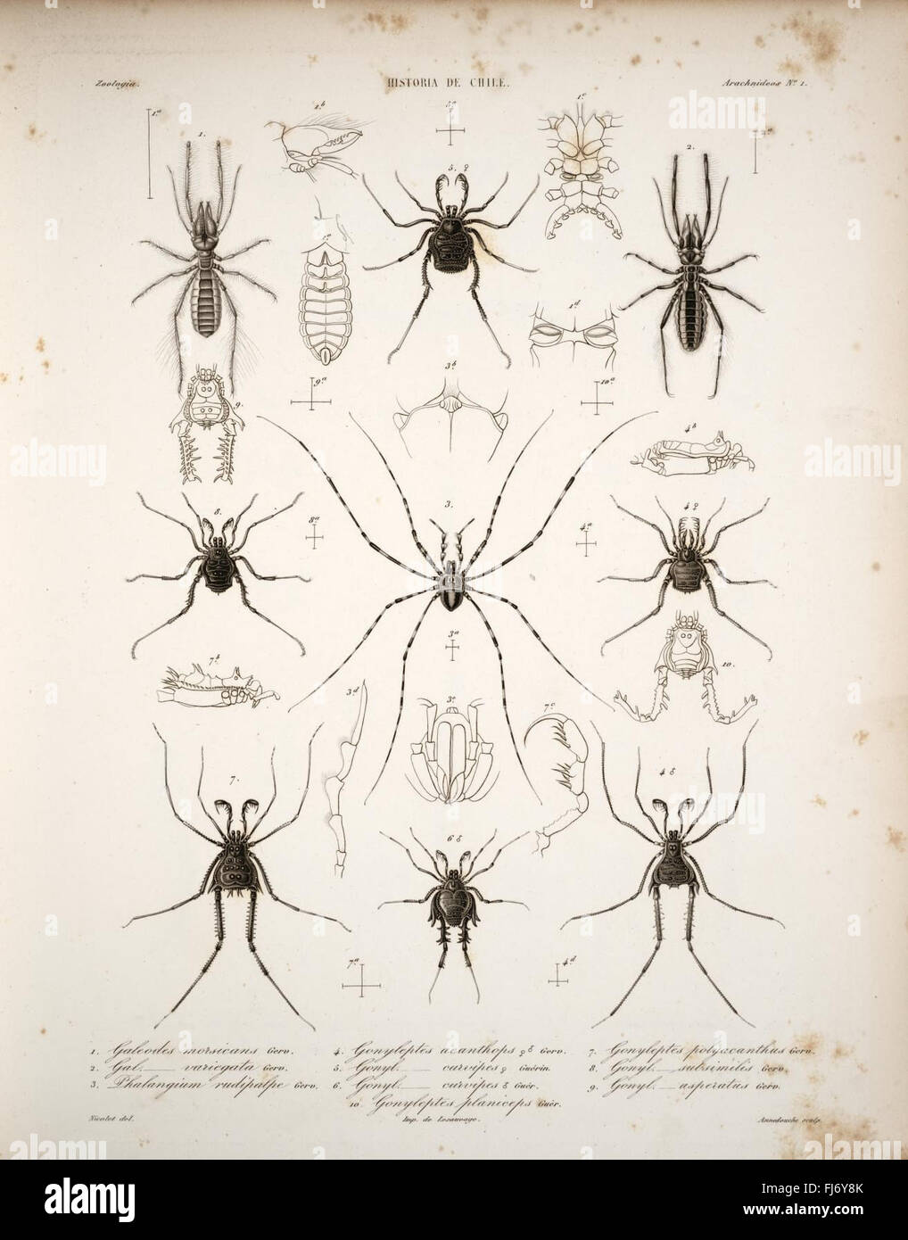 Eine umfassende historische und politische Darstellung Chiles, basierend auf über zwölf Jahre ...