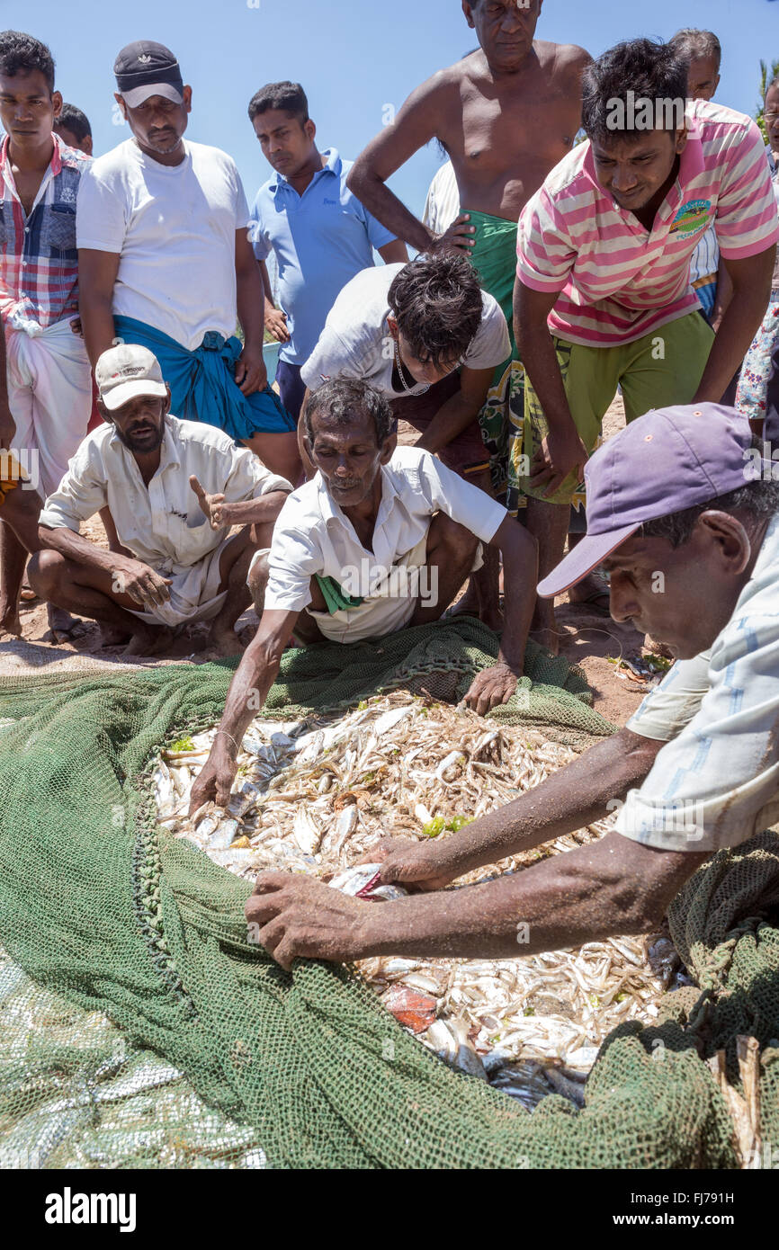 Sri lanka children fishing -Fotos und -Bildmaterial in hoher Auflösung ...