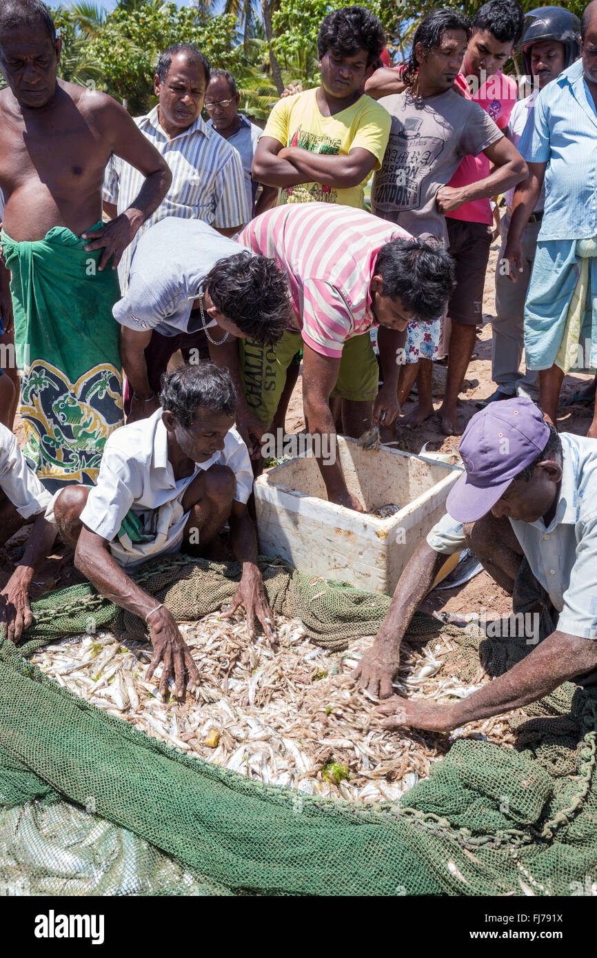 Sri lanka children fishing -Fotos und -Bildmaterial in hoher Auflösung ...