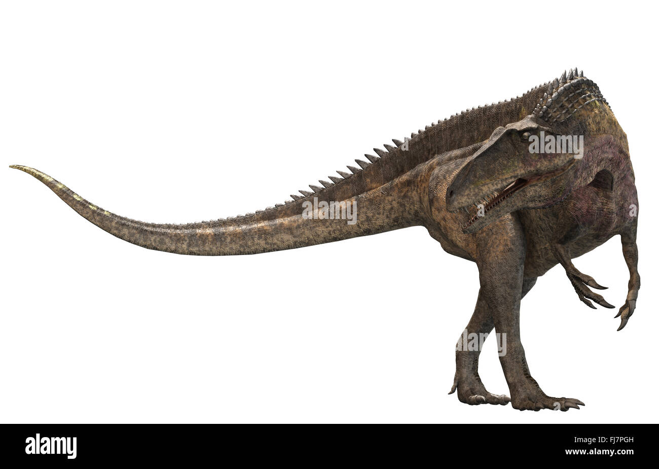 Acrocanthosaurus atokensis -Fotos und -Bildmaterial in hoher Auflösung ...
