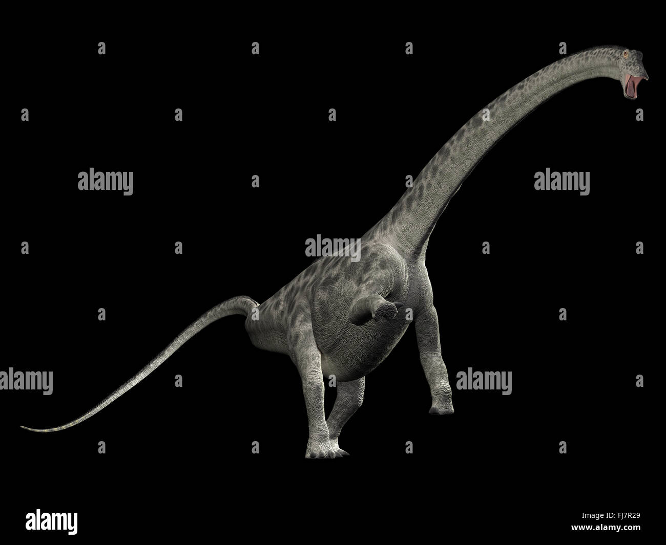 Diplodocus dibujo -Fotos und -Bildmaterial in hoher Auflösung – Alamy