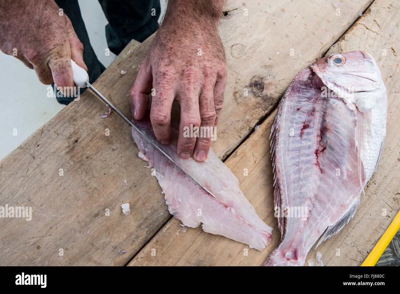 Schnapper filet -Fotos und -Bildmaterial in hoher Auflösung – Alamy