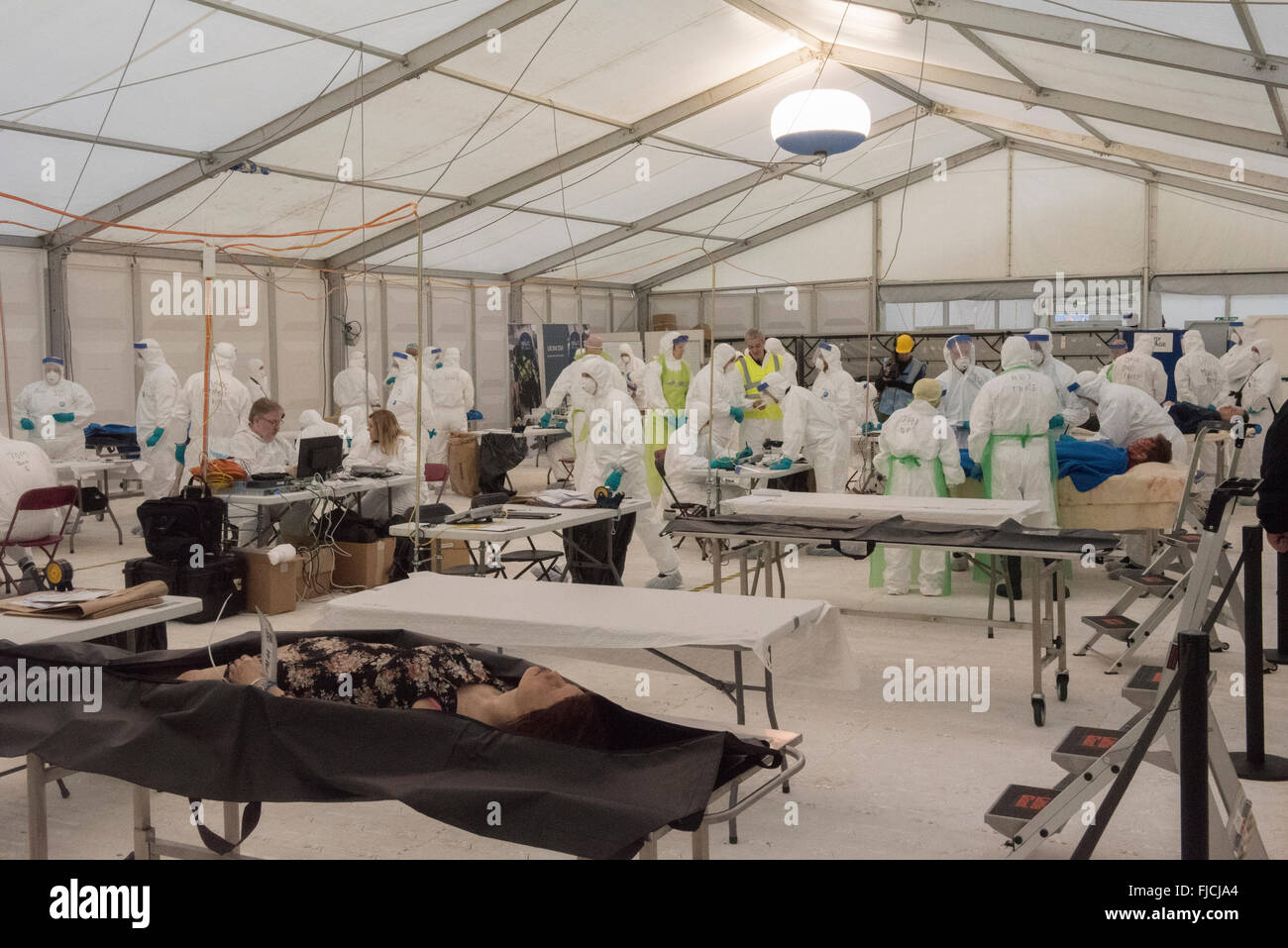 Disaster victim identification -Fotos und -Bildmaterial in hoher ...