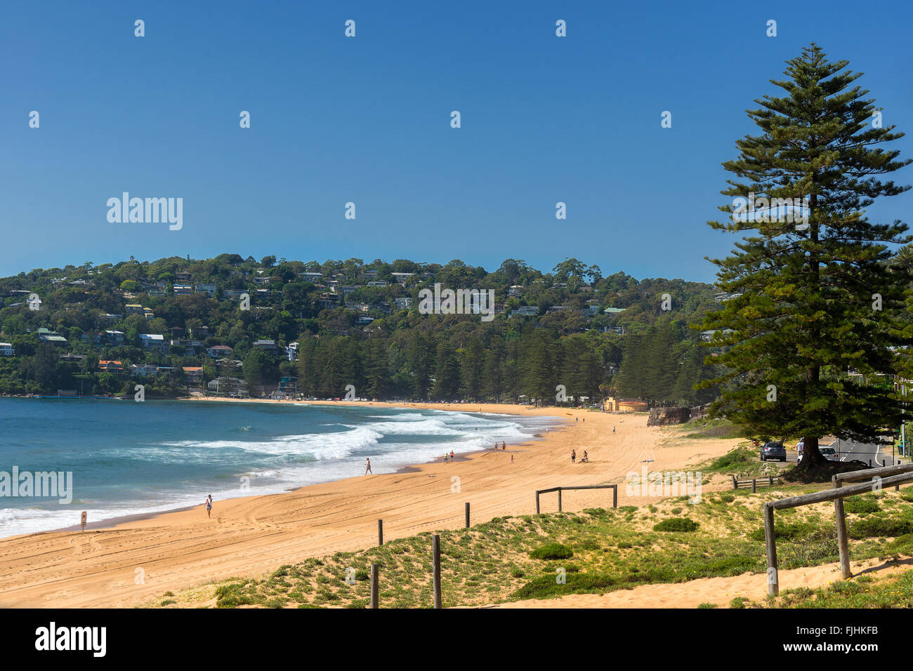 Palm strands -Fotos und -Bildmaterial in hoher Auflösung – Alamy