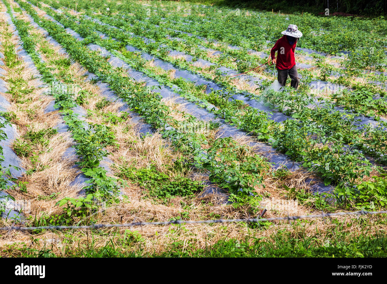 Chemische pestizide -Fotos und -Bildmaterial in hoher Auflösung – Alamy