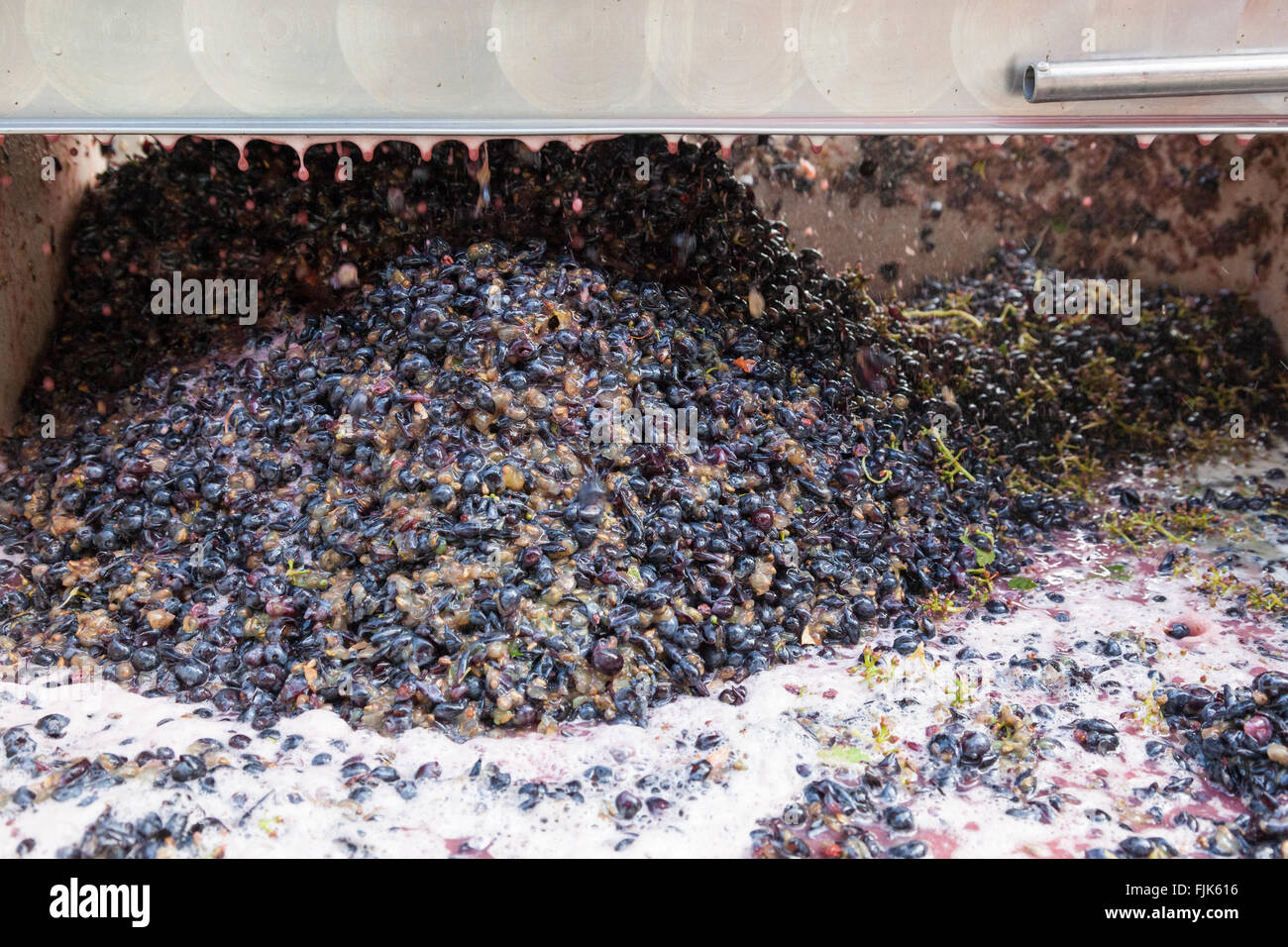 Maschine zum pressen und herstellen von wein -Fotos und -Bildmaterial ...