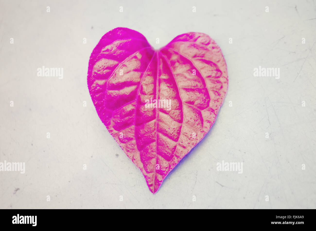 Herz und grünes blattsymbol -Fotos und -Bildmaterial in hoher Auflösung ...