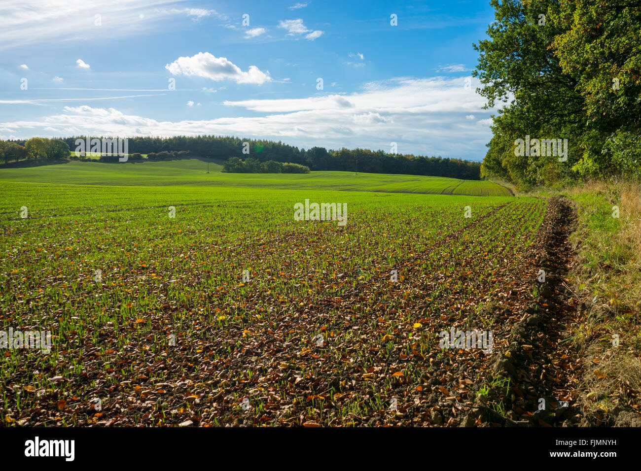 Bauern feld -Fotos und -Bildmaterial in hoher Auflösung – Alamy