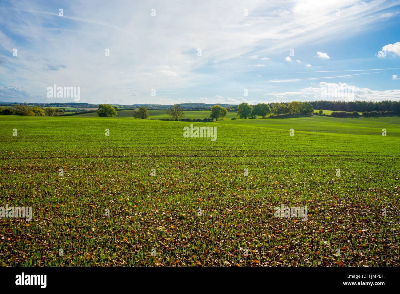 Bauern feld -Fotos und -Bildmaterial in hoher Auflösung – Alamy