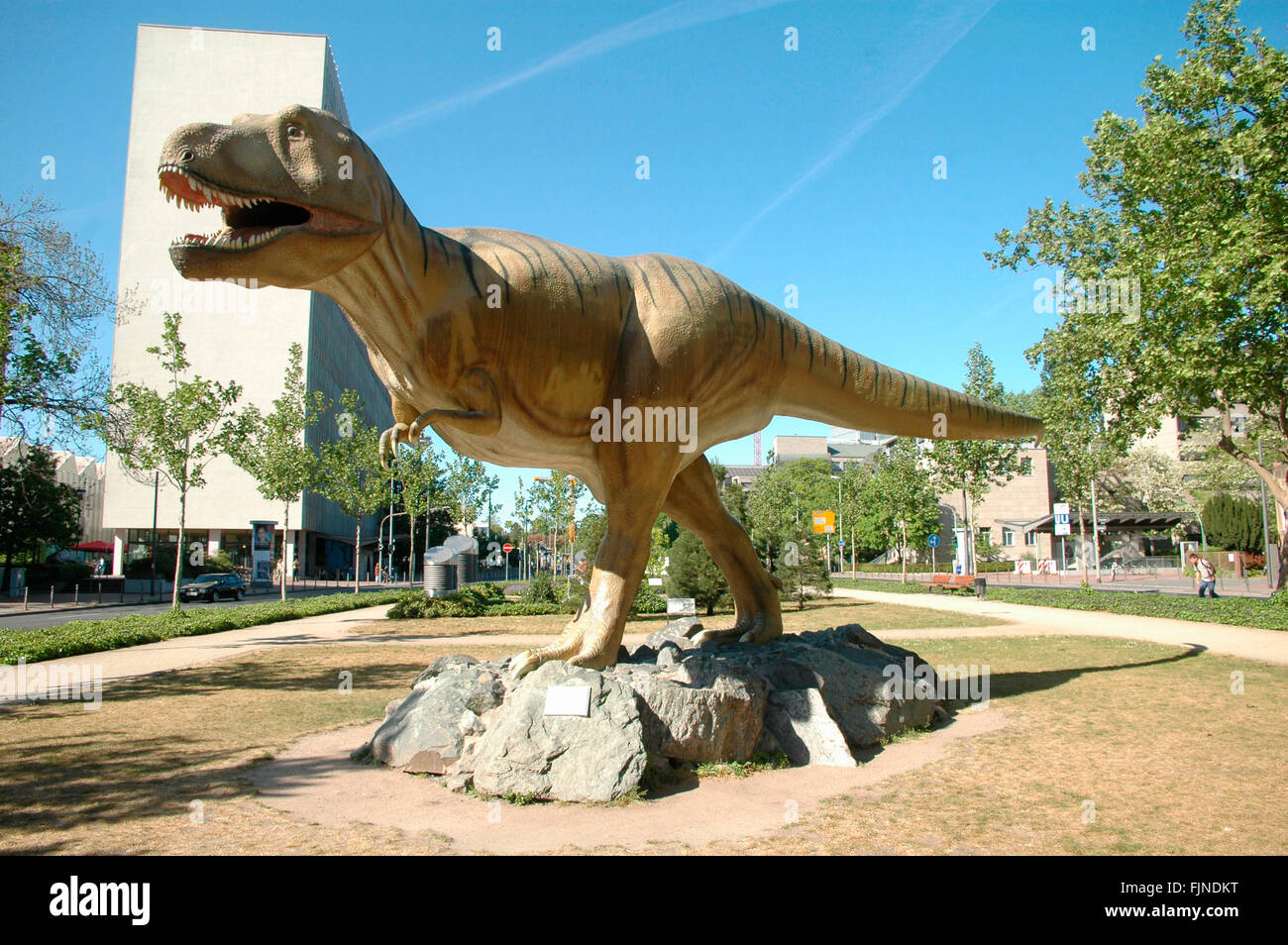 Tyrannus Saurus Rex (Figur Vor Dem Senckenbergmuseum), Frankfurt am ...