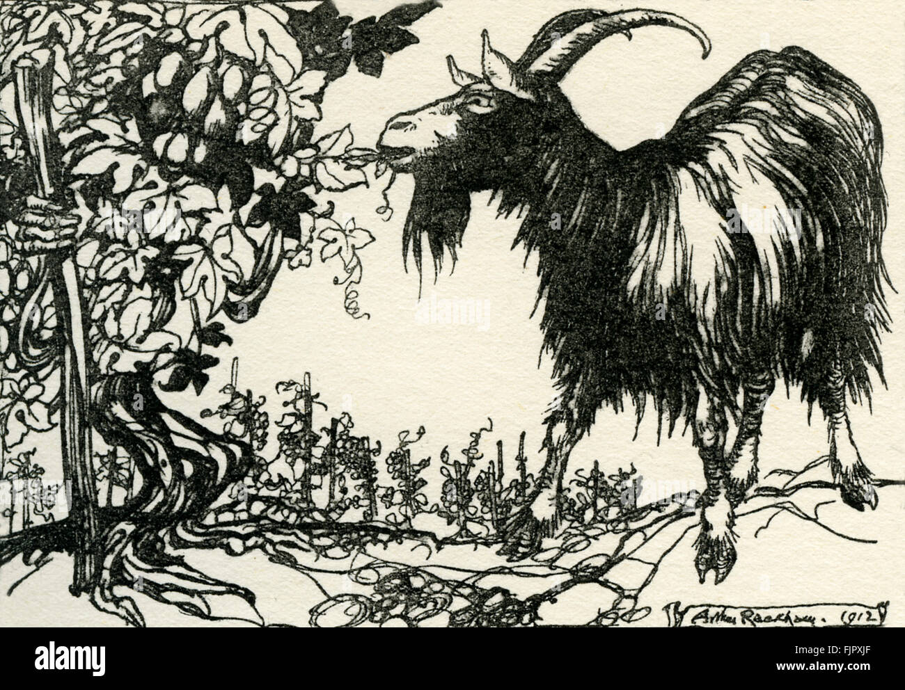Die Ziege und der Rebe. Aesop Fabeln. 1933-Ausgabe illustriert von ...