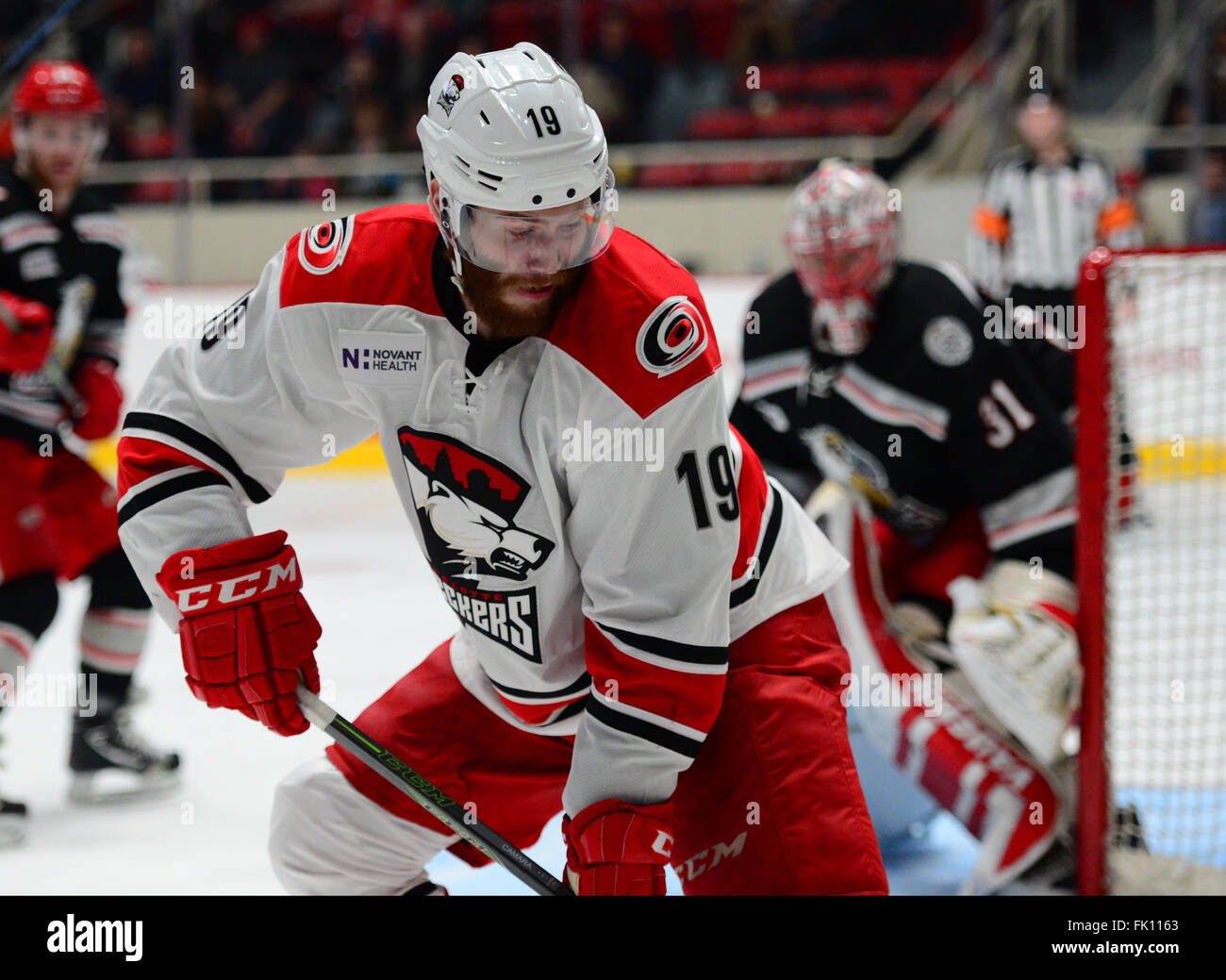 Charlotte Checkers LW Anthony Camara (19) während das AHL-Spiel ...