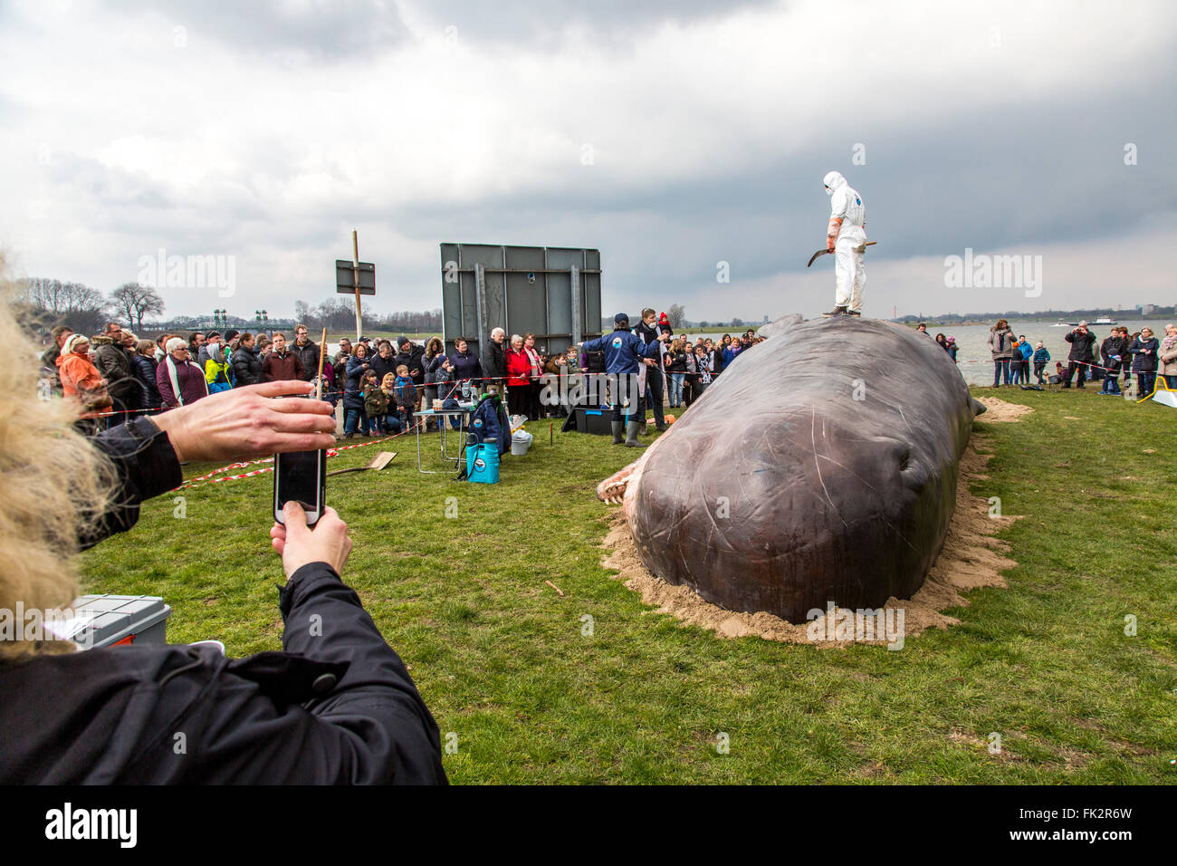 Gestrandeten Wal, eine Kunstperformance während der Duisburger Akzente ...