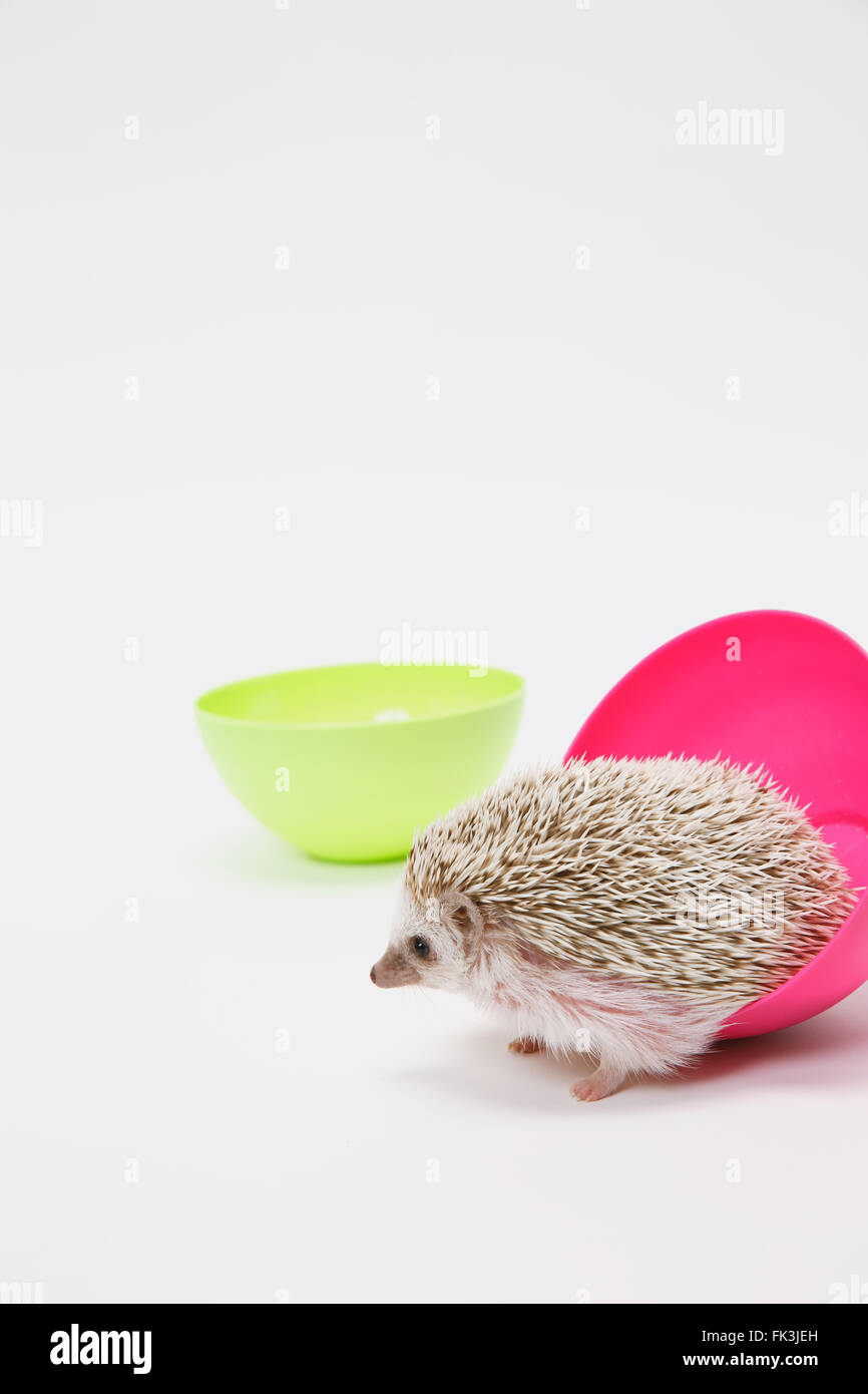 Space creature -Fotos und -Bildmaterial in hoher Auflösung – Alamy