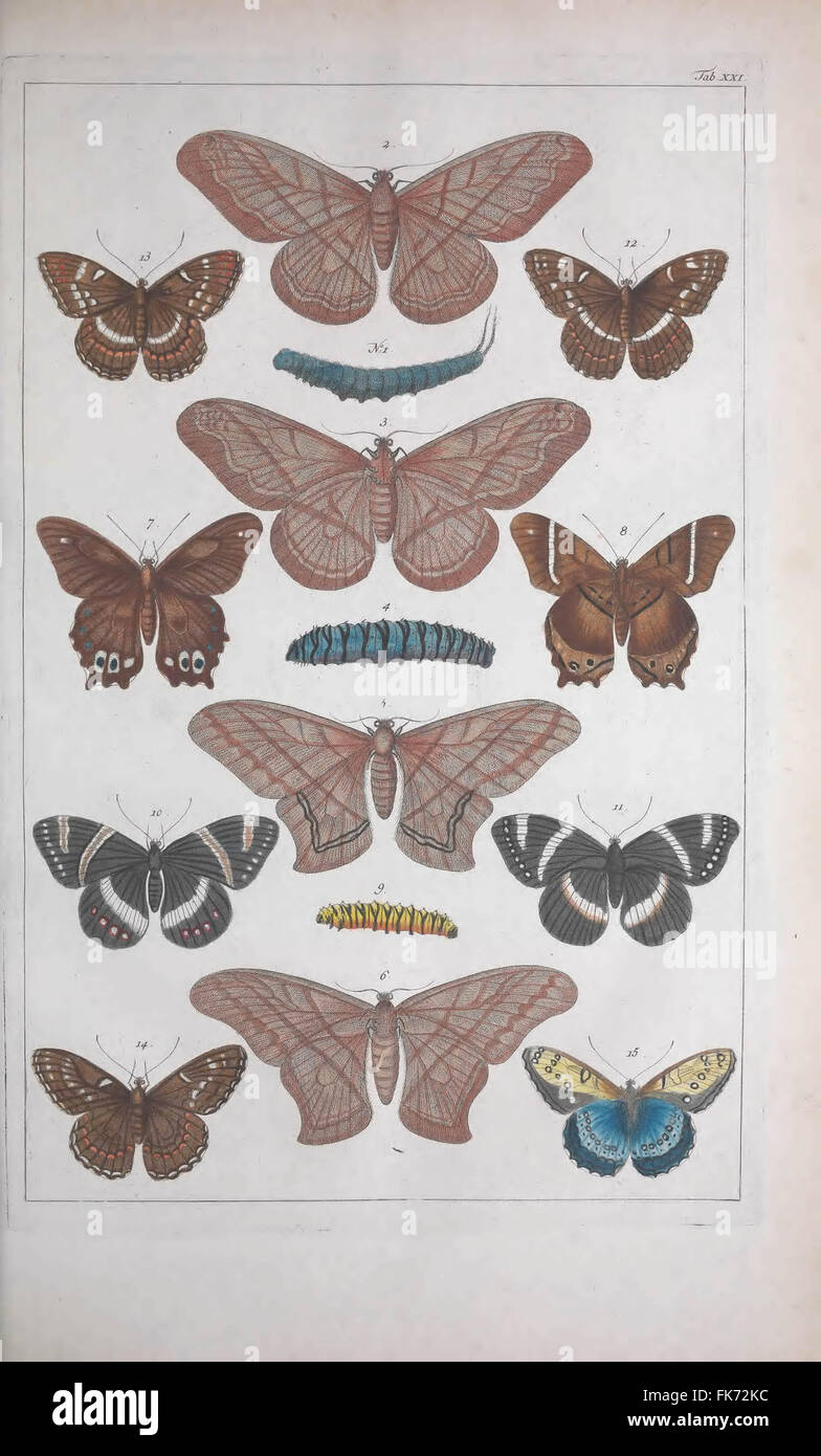 Locupletissimi Rerum Naturalium Thesauri Accurata Descriptio, et ...