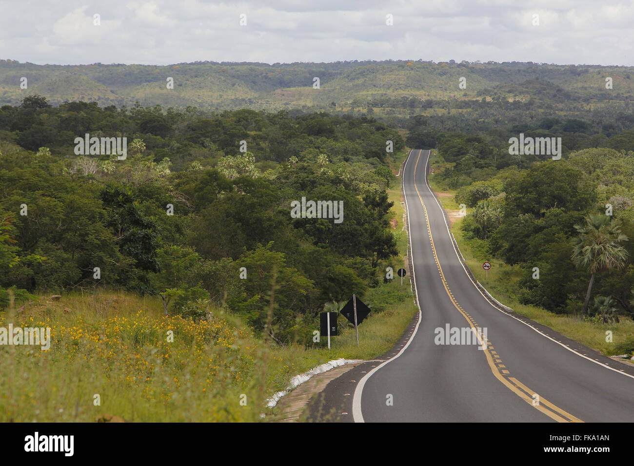 Amazonas autobahn -Fotos und -Bildmaterial in hoher Auflösung – Alamy