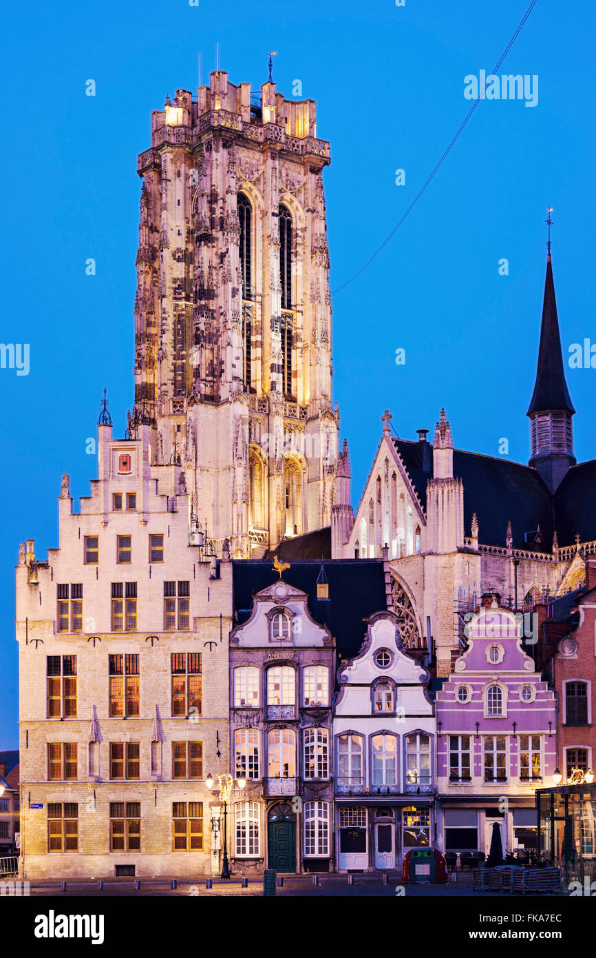 Saint rumbolds cathedral in mechelen -Fotos und -Bildmaterial in hoher ...