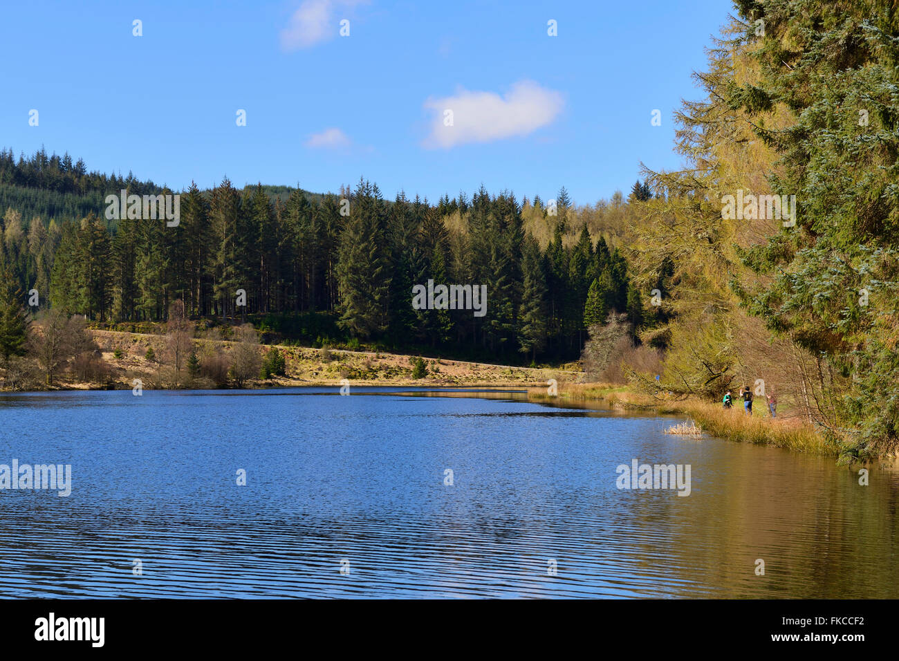 Loch Drunkie, Achray Forest Drive, Trossachs, Schottland, UK ...