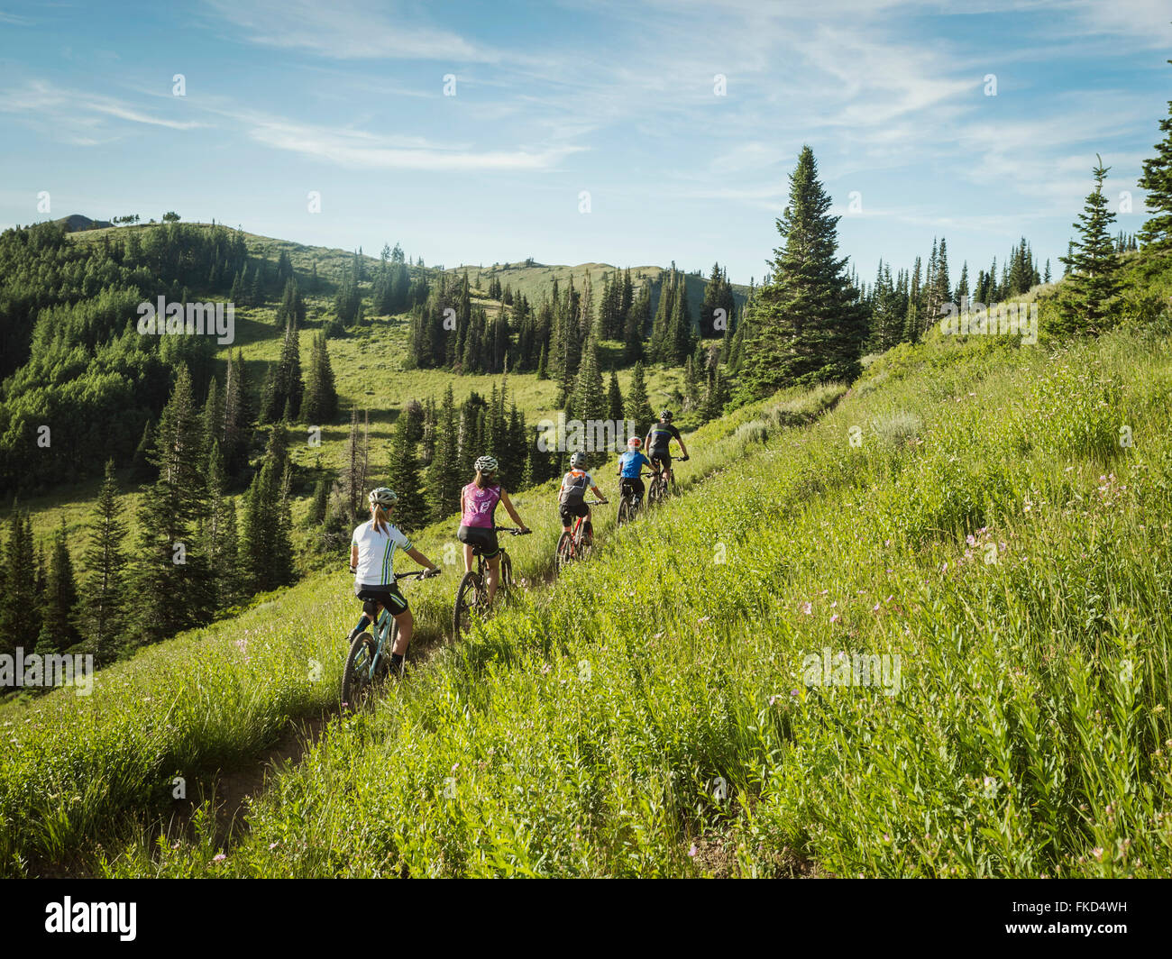 Kinder velo -Fotos und -Bildmaterial in hoher Auflösung – Alamy
