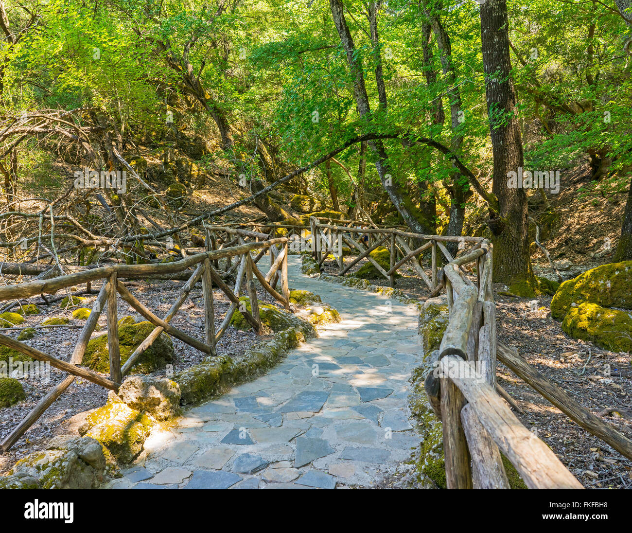 Das Tal der Schmetterlinge (Peta Loudhes) Rhodos Griechenland Europa ...