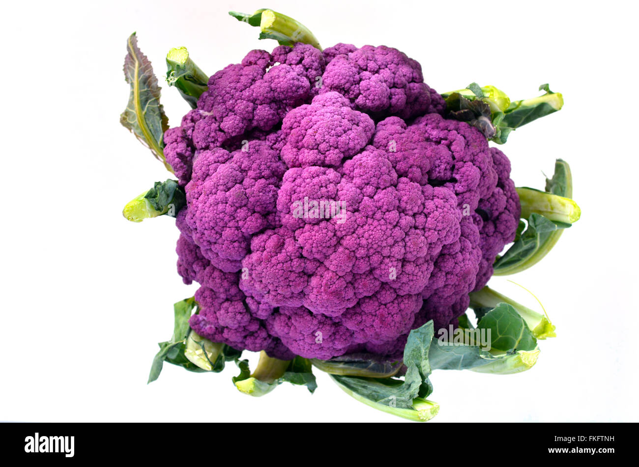 Violetter Blumenkohl Stockfotos und -bilder Kaufen - Alamy