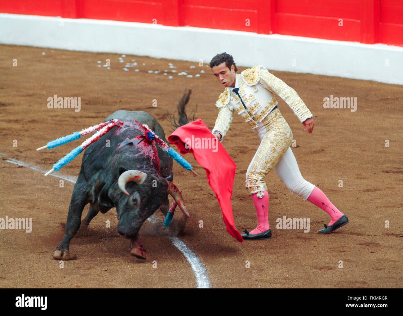 Stierkampf, Matador und Stier in der Arena, Santander, Kantabrien ...
