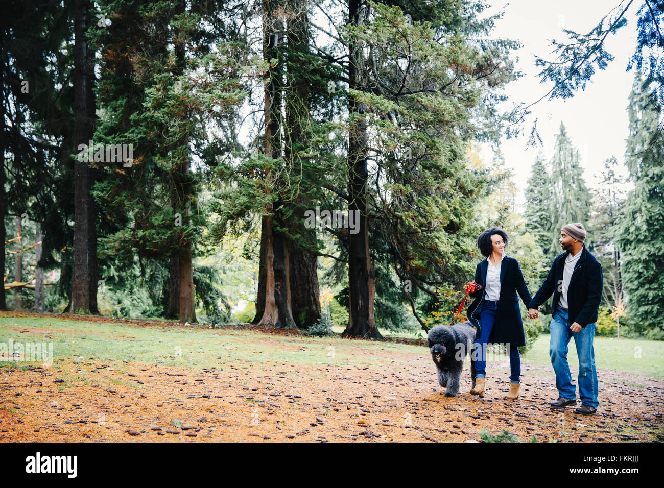 Walking the dog -Fotos und -Bildmaterial in hoher Auflösung – Alamy