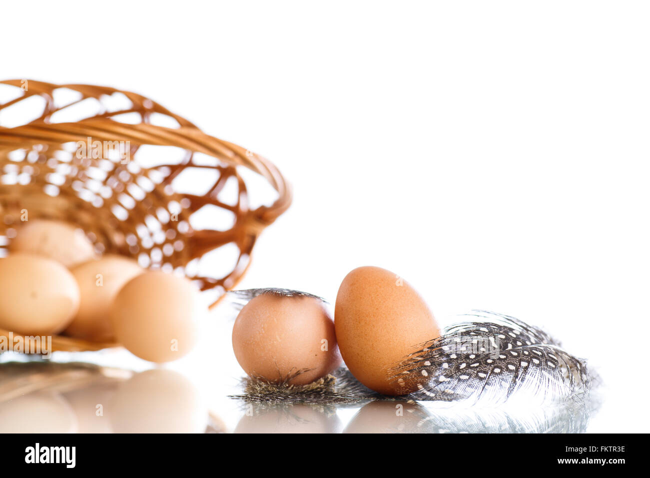 Perlhuhn Ei Stockfotos und -bilder Kaufen - Alamy