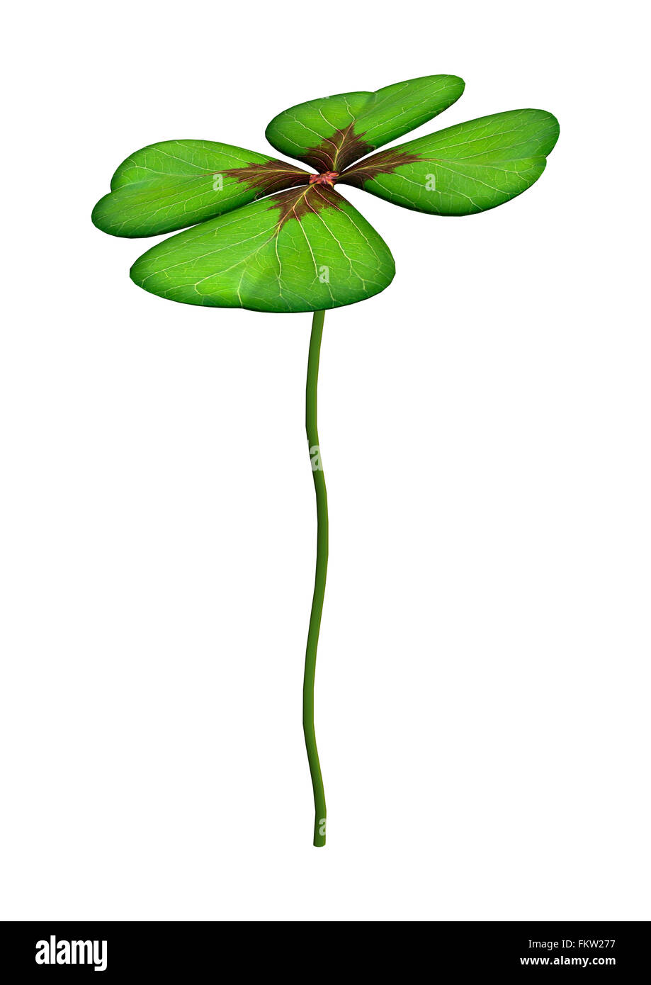 Digitalen Rendern eines glücklichen Kleeblatt oder Kleeblatt isoliert ...