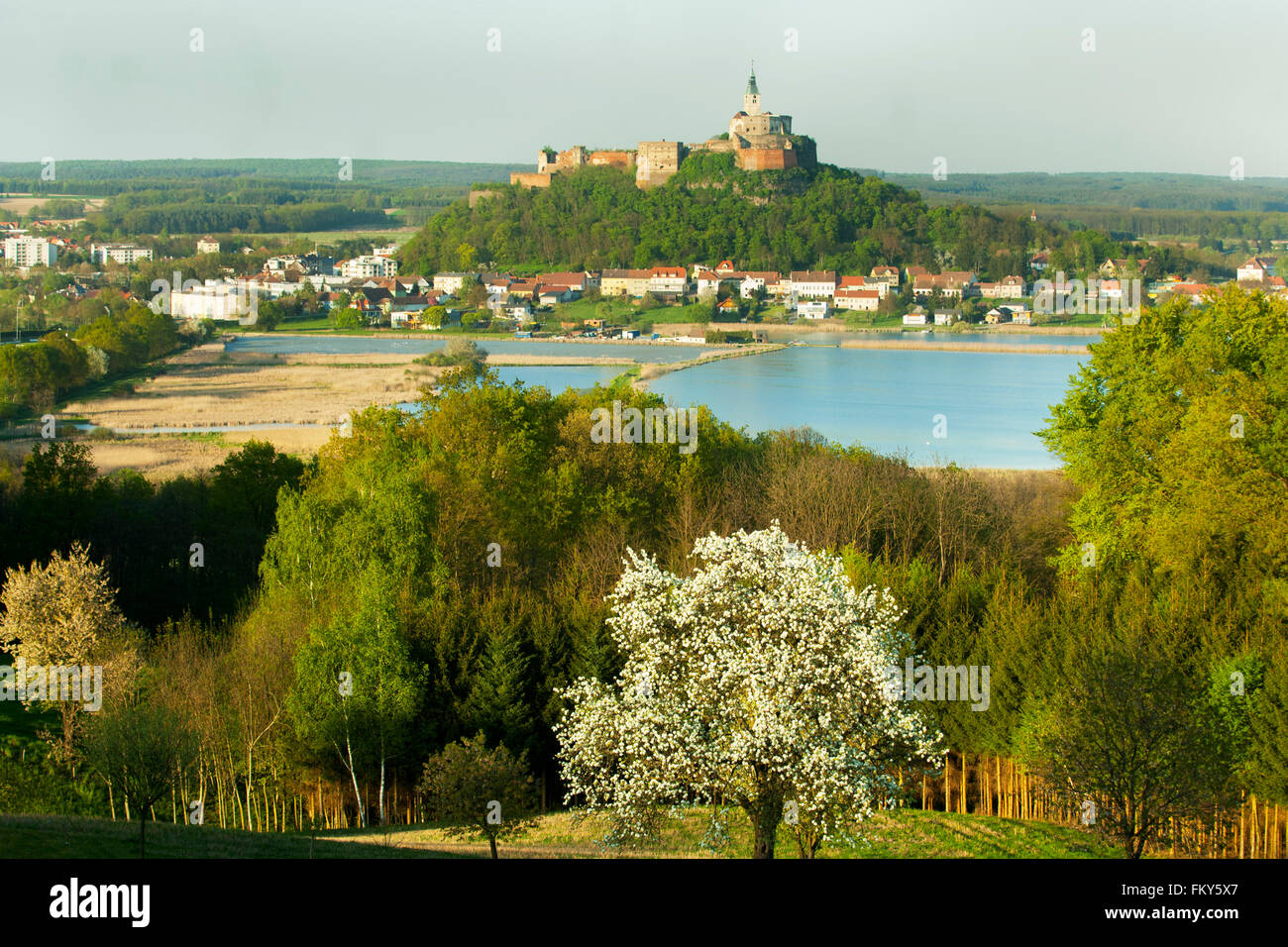 Burg gussing -Fotos und -Bildmaterial in hoher Auflösung – Alamy