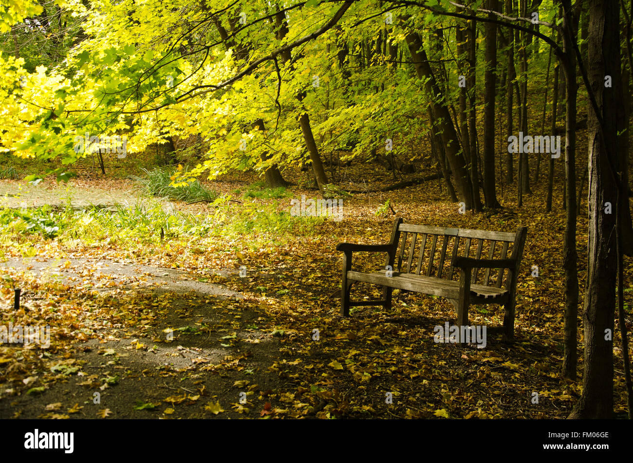 Naturfarben in ihrer besten form -Fotos und -Bildmaterial in hoher ...