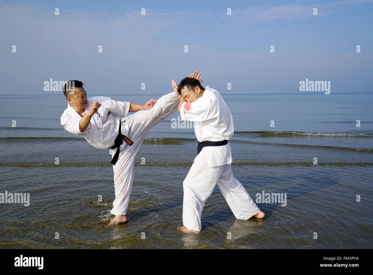 Karate action -Fotos und -Bildmaterial in hoher Auflösung – Alamy