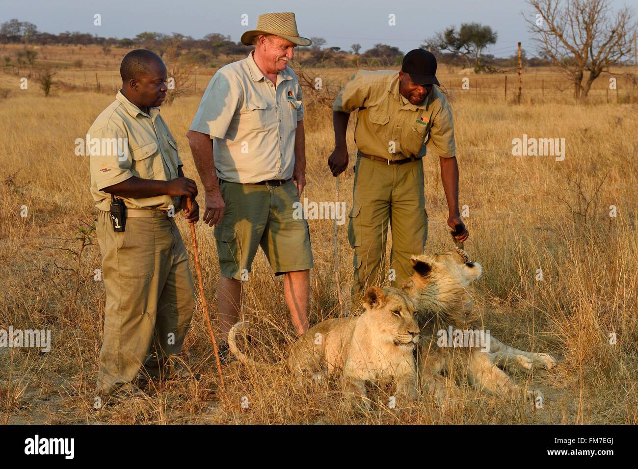 Zimbabwe hut -Fotos und -Bildmaterial in hoher Auflösung – Alamy