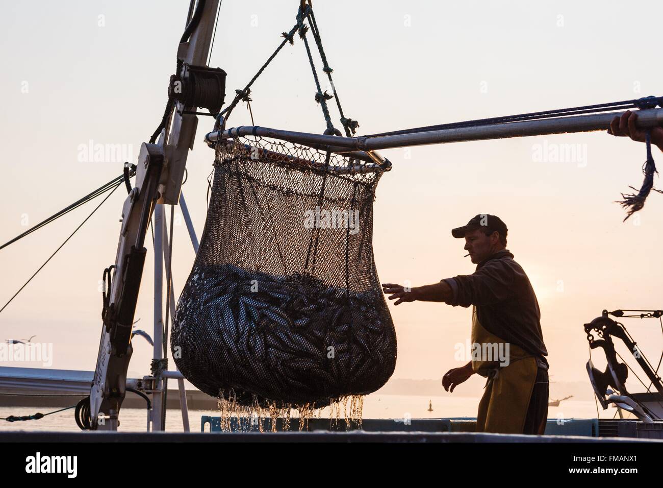 Netz voller fische -Fotos und -Bildmaterial in hoher Auflösung – Alamy