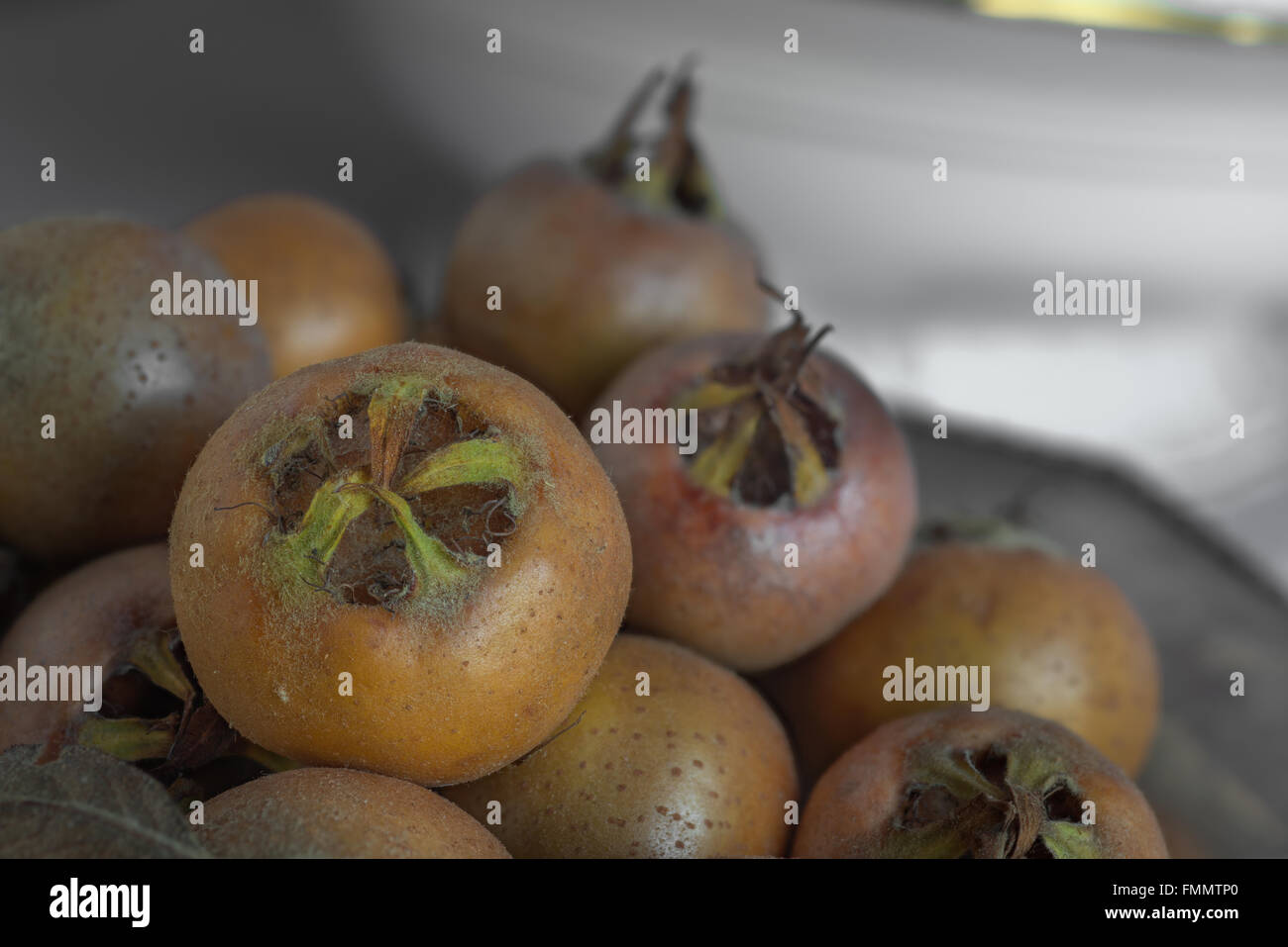 Mispel frucht -Fotos und -Bildmaterial in hoher Auflösung – Alamy