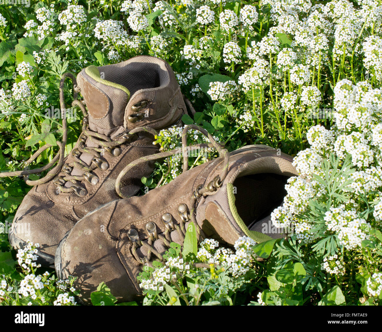 Paar alte Wanderschuhe im Blumenbeet, zur Veranschaulichung der ...