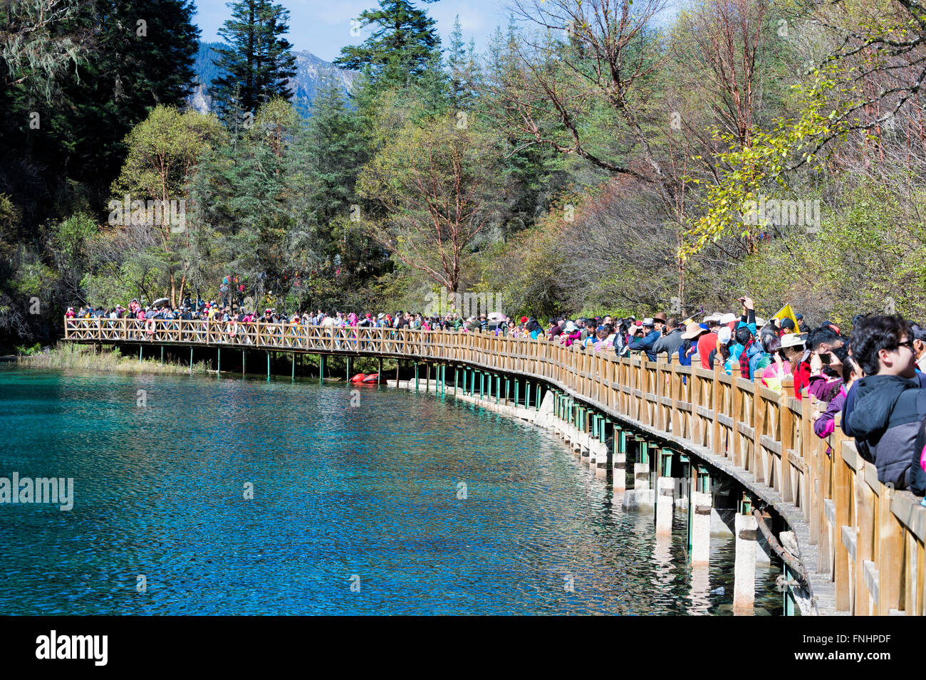 Fünf-farbige Pool, Masse auf Steg, Jiuzhaigou Nationalpark, Provinz ...
