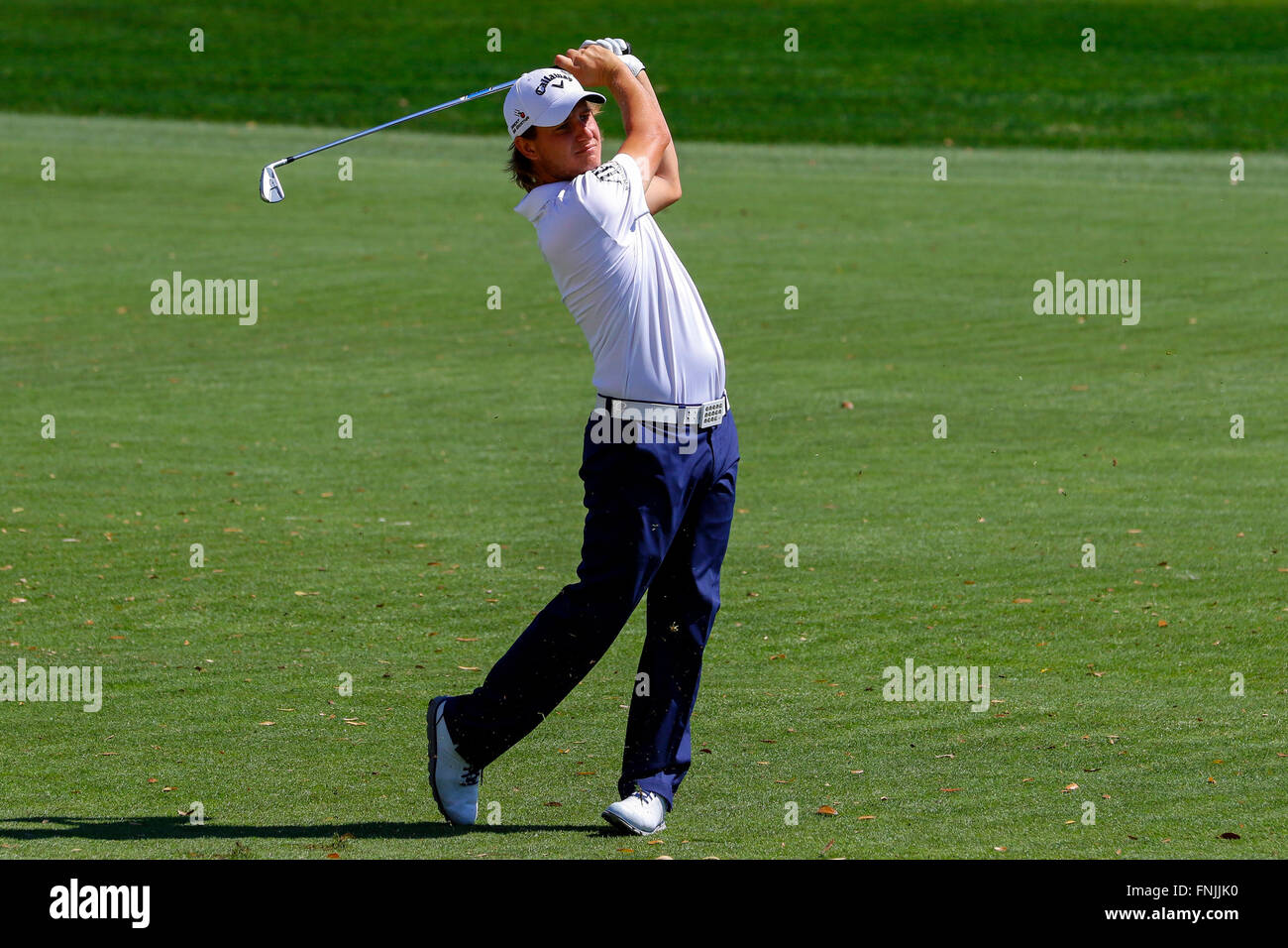 Emmilio grillo -Fotos und -Bildmaterial in hoher Auflösung – Alamy